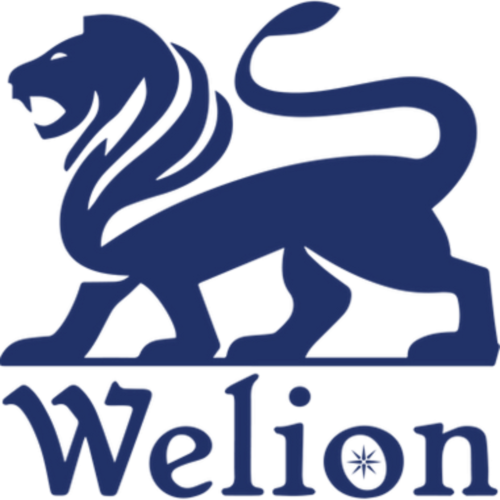 WELION SOLAR INVERTER 3KVA - Sbeity Computer